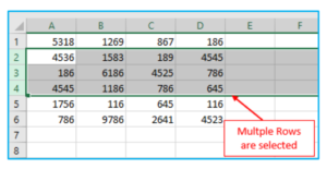 How to select multiple cells in Excel - Bizinfograph Blog