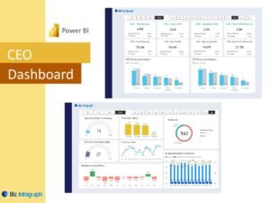 CEO Dashboard in Power BI - Executive Dashboard - Bizinfograph Blog