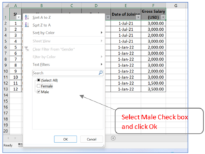 How to Filter in Excel – with shortcut methods?