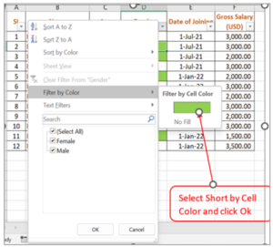 How to Filter in Excel – with shortcut methods?