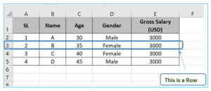 How to Insert Row in Excel – with shortcut key method