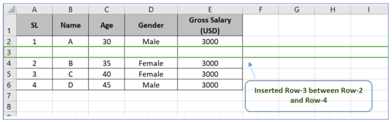 How to Insert Row in Excel – with shortcut key method
