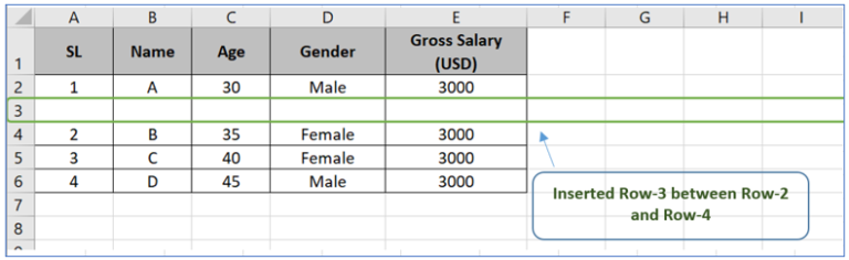 How to Insert Row in Excel – with shortcut key method