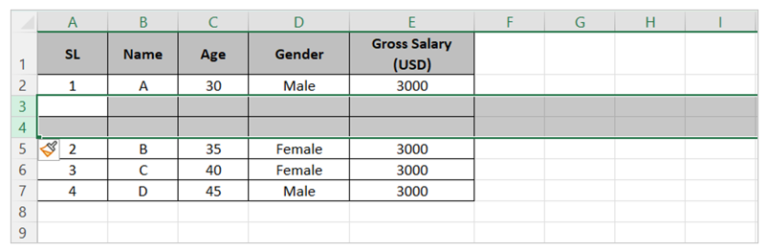 How to Insert Row in Excel – with shortcut key method