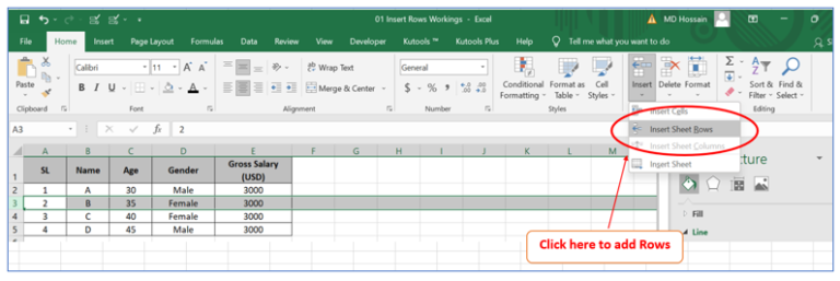 How to Insert Row in Excel – with shortcut key method