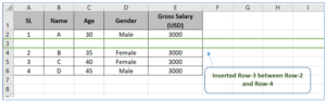 How to Insert Row in Excel – with shortcut key method