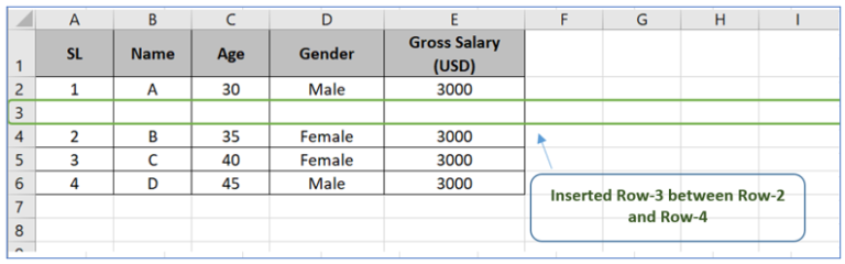 How to Insert Row in Excel – with shortcut key method
