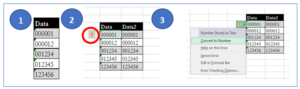 Leading Zeros in Excel. Add Leading Zeros in Excel