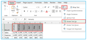 Rotate Text in Cells Excel.