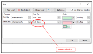 How to Sort data by Color in Excel?