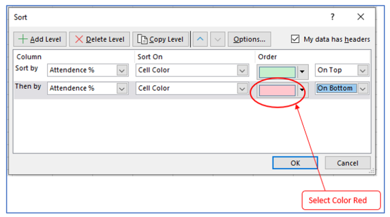 How to Sort data by Color in Excel?