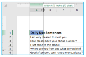 How to change and AutoFit column width in Excel