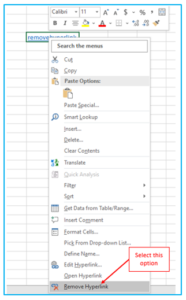 Insert Hyperlink In Excel (In Easy Steps) - How to Create, Edit And Remove - Biz Infograph