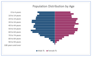 How to Create Population Pyramid Chart in Excel? - Resource