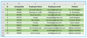 How to Select Every Other Row in Excel? - Resource