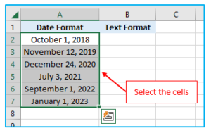 Using TEXT Function in Excel to convert Date to Text - Biz Infograph