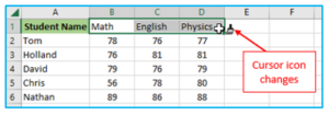 How to use Format Painter in Excel?