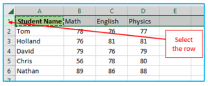 How to use Format Painter in Excel?