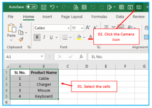 What is Excel Camera Tool and How to Use It?