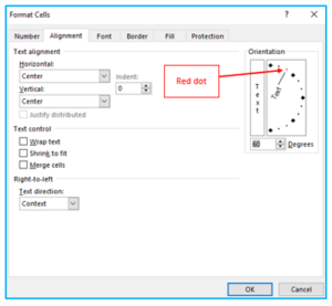 How to Rotate Text in Cells in Excel? - Biz Infograph