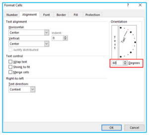 How to Rotate Text in Cells in Excel? - Biz Infograph