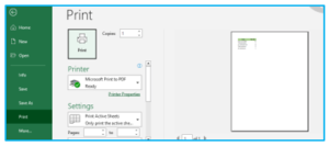How to use Function Keys (FN) in Excel?