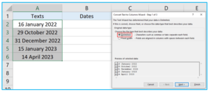 How to use Text to Columns Option in Excel?