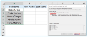 How to use Text to Columns Option in Excel?
