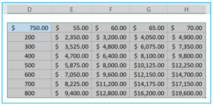 How to use What-If Analysis in Excel?